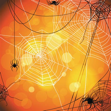 Spider Web Wallpapers 4k Hd Spider Web Backgrounds On Wallpaperbat