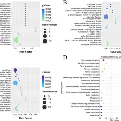 Transcriptome Analysis Of Eg And Cg A Differential Gene Expression Download Scientific