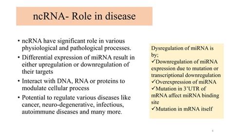 Non Coding Rna As Targets In Drug Discoverypptx