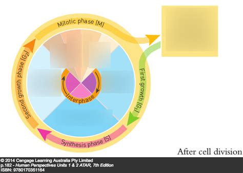 Chapter 14 Diagram 1 Diagram Quizlet