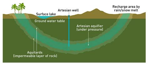 What Are Basin At Elmer Pritchard Blog