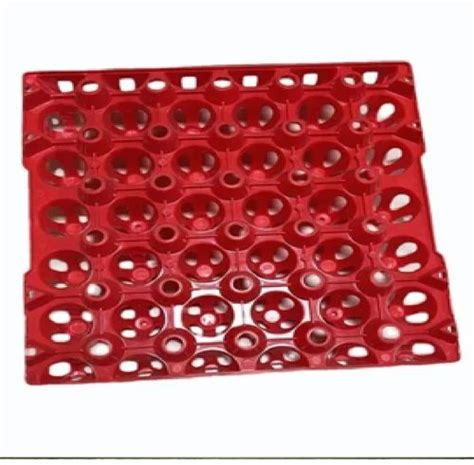 Poultry Egg Tray Egg Storage Capacity 30 At Best Price In Pune Id