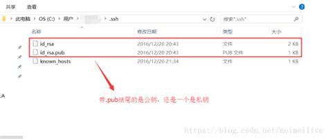 Git Ssh No Such File Or Directoryno Such File Or Directory Git Csdn博客