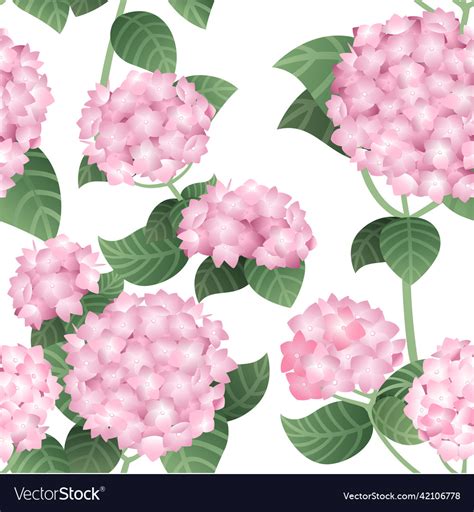 Seamless Pattern Of Pink Hydrangea Flowers Vector Image