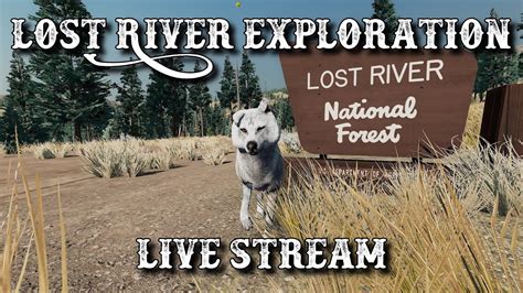 Wolfquest New Lost River Map Exploration Live Stream Youtube