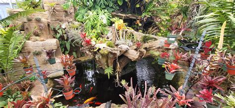 Rainforest Flora Tropical Plant Store In Torrance Ca R Houseplants