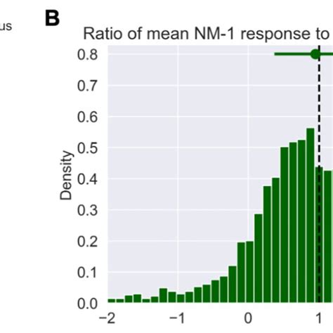 Saccade Responses Are Suppressed By Naturalistic But Not Artificial