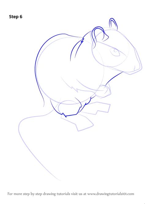 How To Draw An Eastern Chipmunk Chipmunks Step By Step