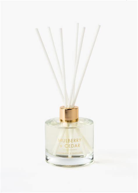 Mini Fragrance Diffuser Za