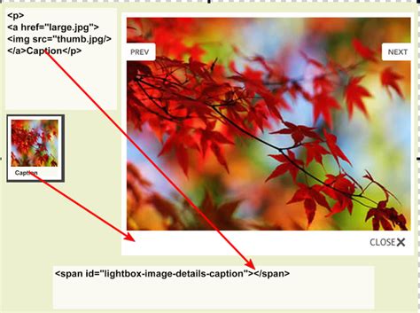 css how to render image caption to lightbox caption using jquery