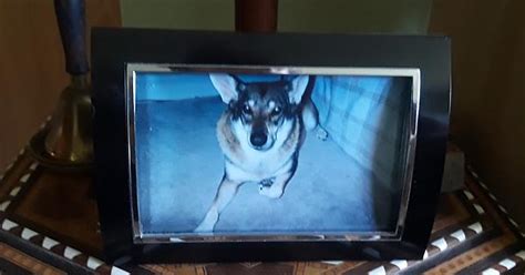 Spash Album On Imgur