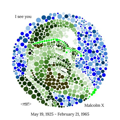 Malcom X I See You Colorblind Art