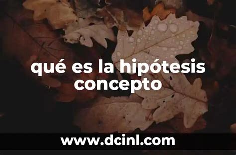 Qué Es La Hipótesis Concepto Significado Ejemplos