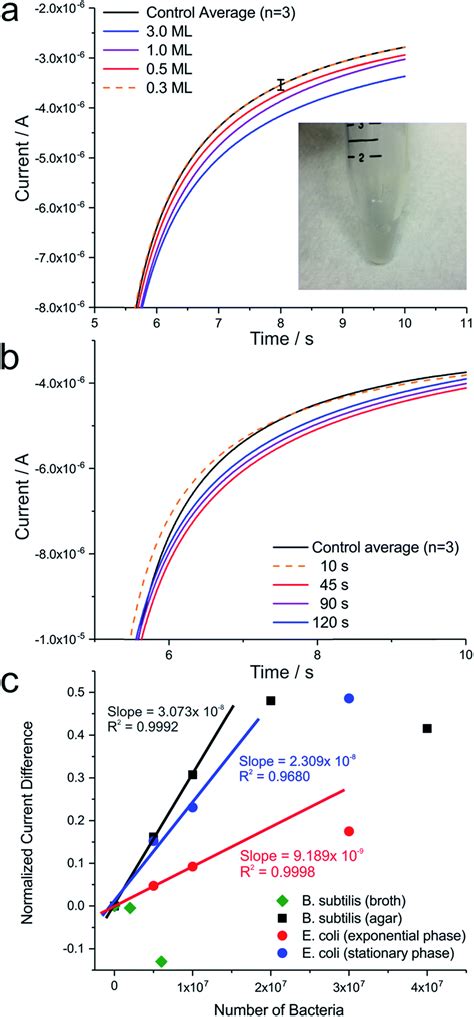 Electrochemical Recognition And Quantification Of Cytochrome C