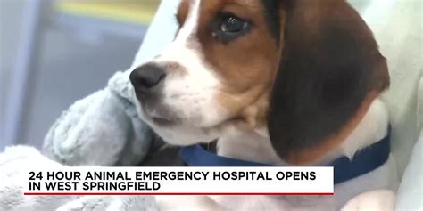 24 Hour Emergency Animal Hospital Officially Opens In West Springfield