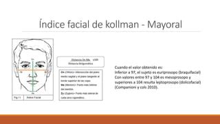 Analisis Facial Pptx