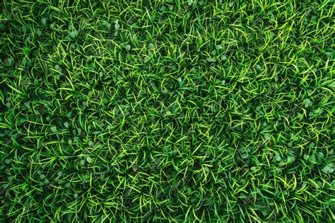 Premium Photo Green Grass Wall Texture For Backdrop Design And Eco