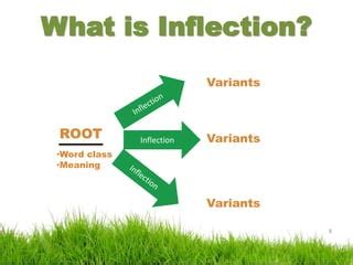 English Morphology Inflection Pptx