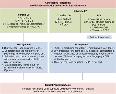 2025 Concise Clinical Guidance An Acc Expert Consensus Statement On