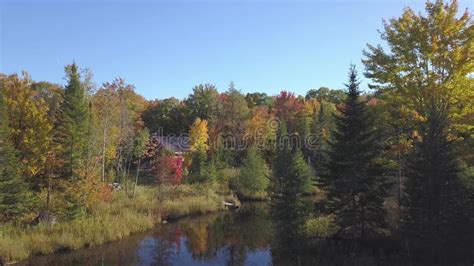 Drone Crane Shot Moving Up Above The Lake And The Colorfull Leaves Of Autumn Stock Video Video