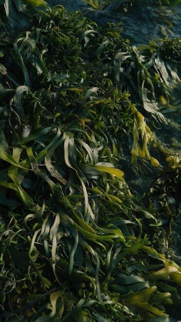 Green Seaweed Premium Ai Generated Image