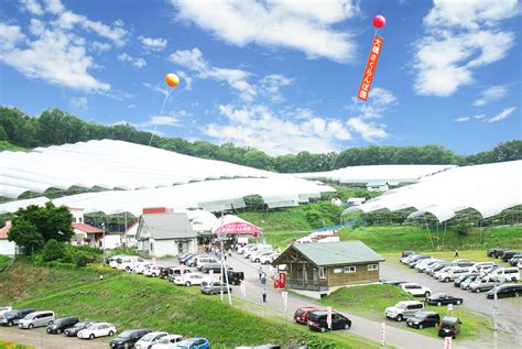 大橋櫻桃園 Japan Fruits 日本水果採摘・水果情報網