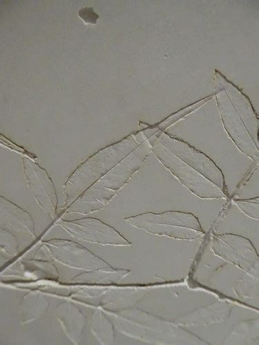 Jasmine Tiles By Eileen Corley Close Up Photo These Flickr