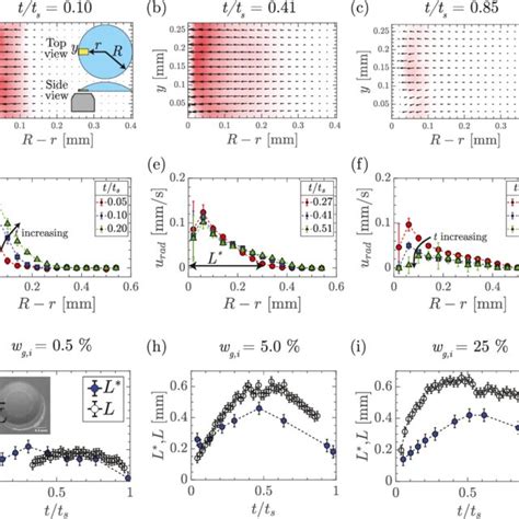 Evaporation Dynamics Of A Particle Laden Water−glycerol Droplet A Download Scientific