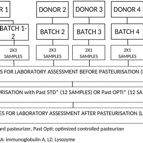 Schematic Representation Of Loss Of Lactoferrin Iga And Lysozyme