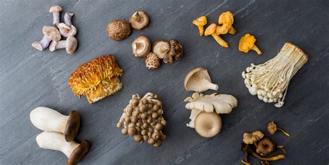 Mushrooms 101 The Ultimate Guide To Edible Mushrooms 54 Off