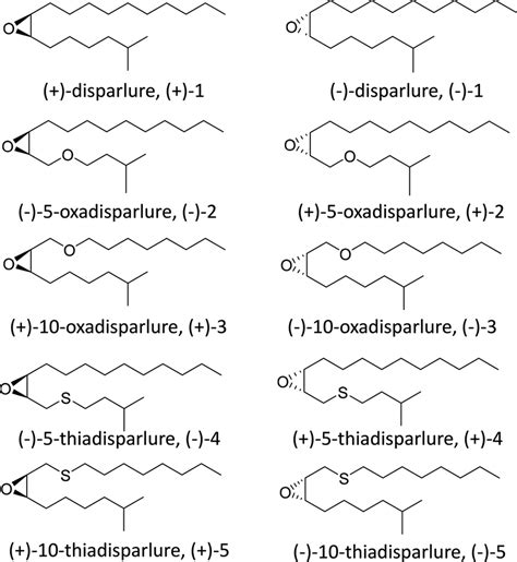 Structures Of The Gypsy Moth Pheromone Disparlure 1 The