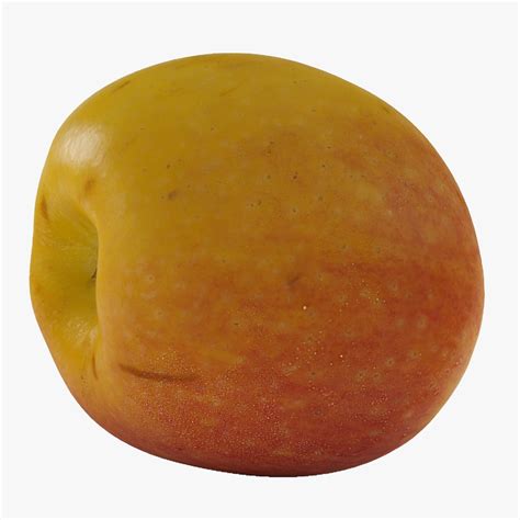 Mela Modello 3d 15 Ztl Max Obj Fbx Free3d