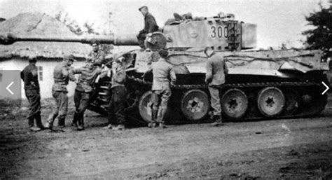 Mid Tiger 300 Missing Lynx