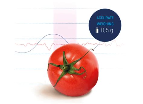 Tomatoes Grade Fruit And Vegetables With High Speed And Consistent