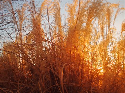 Elevation Of Johnson County Ks Usa Topographic Map Altitude Map