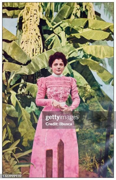 Musa Colony Photos And Premium High Res Pictures Getty Images