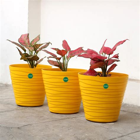 Plastic Matrix Pots Set Of 3