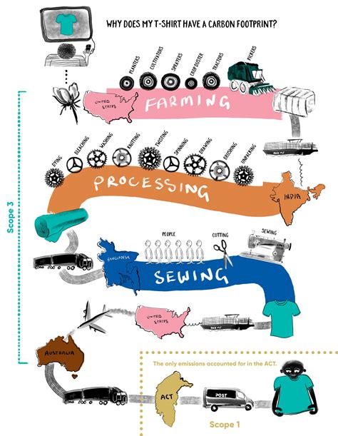 Secondary Carbon Footprint Examples At Carolyn Shirley Blog