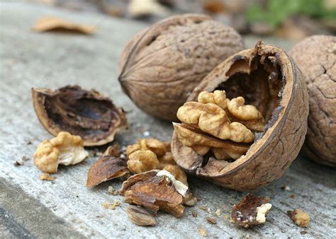 Detailed View Of The Rich Golden Brown Walnut Inside Background Walnut