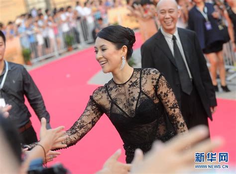 第14届华表奖 袁立镂空透视装亮相红毯 中新网