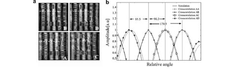 A Four Phase Stepped Interference Images Captured On The Ccd Camera Download Scientific