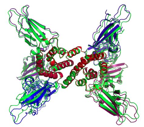 Publications Jason Yim