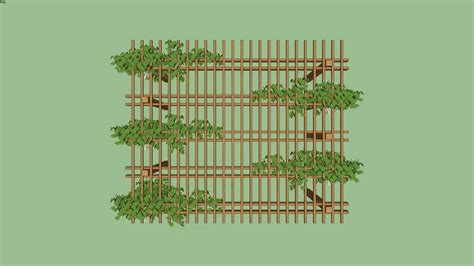 Vine Pandol 3d Warehouse