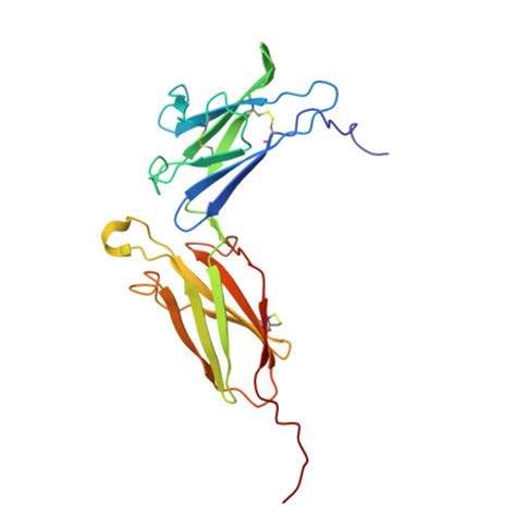 Gene P48551 Protein Ifnar2 Overview Cansar Ai
