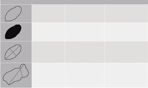 Description Of Nuclear Morphometric Parameters Download Scientific