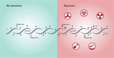 Home Epigenetic Characterization And Observation Echo Washington
