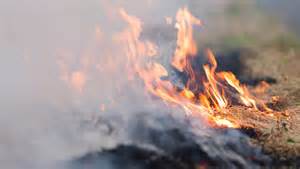 Woman Accused Of Torching Mans Home For Not Having Late Night Sex