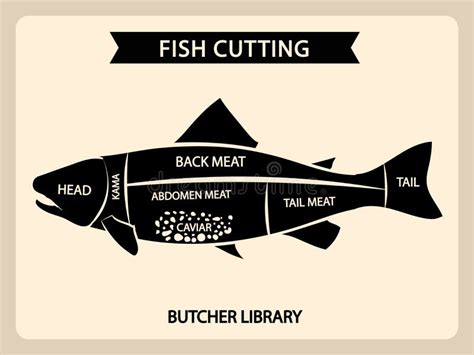 Fish Cuts Diagram Stock Illustrations 43 Fish Cuts Diagram Stock