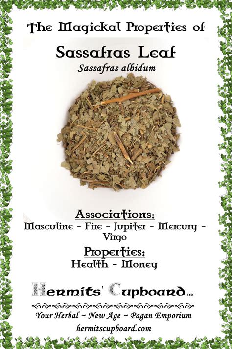 Sassafras Leaf Hermits Cupboard Herb Magick Magic Herbs