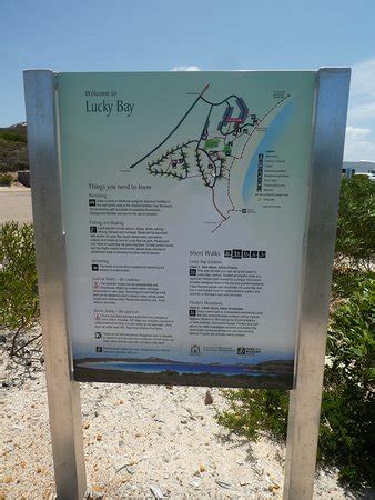 Lucky Bay Esperance Aggiornato 2020 Tutto Quello Che Cè Da Sapere